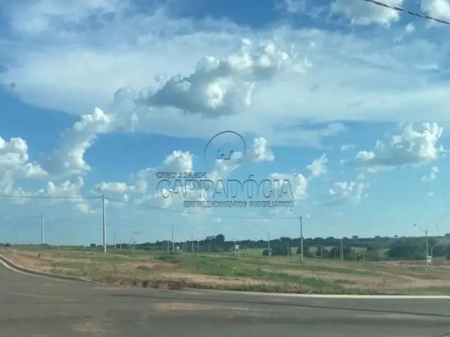 Terreno / Lote para Venda em São José do Rio Preto/SP Fazenda Palhinha Zona Rural