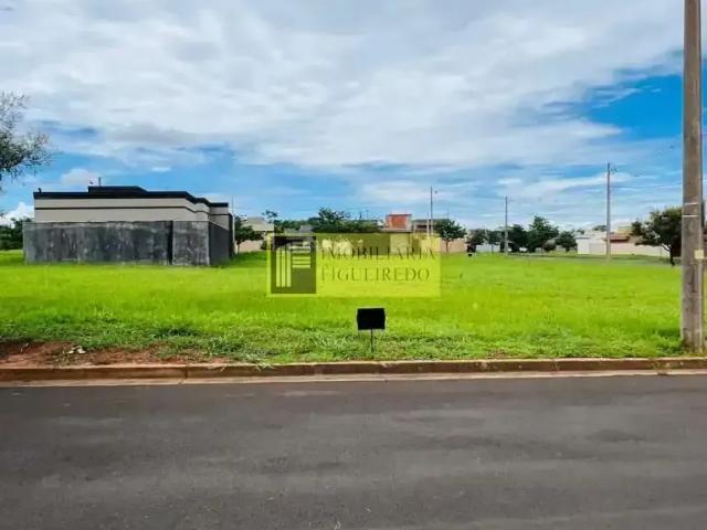 Terreno / Lote para Venda em São José do Rio Preto/SP Fazenda São Pedro Zona Rural