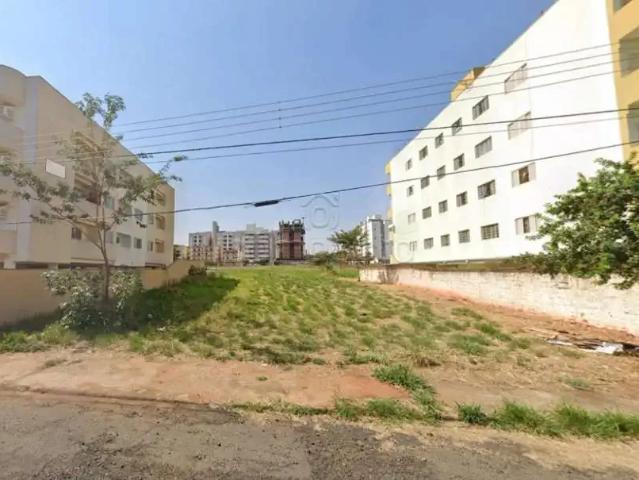 Terreno / Lote para Venda em São José do Rio Preto/SP Higienópolis