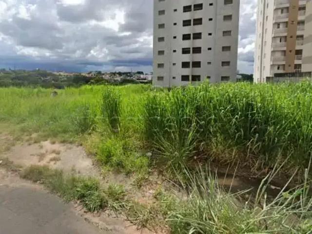 Terreno / Lote para Venda em São José do Rio Preto/SP Higienópolis