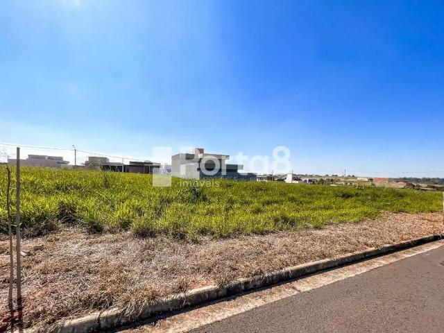 Terreno / Lote para Venda em São José do Rio Preto/SP Iguatemi
