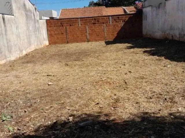 Terreno / Lote para Venda em São José do Rio Preto/SP Jardim Bianco