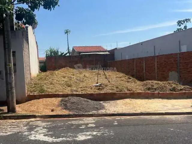 Terreno / Lote para Venda em São José do Rio Preto/SP Jardim dos Buritis