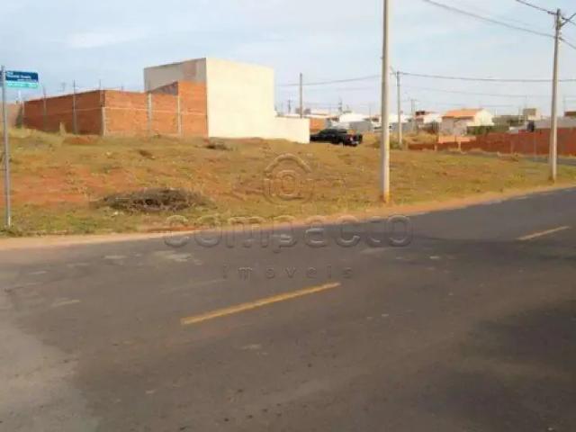 Terreno / Lote para Venda em São José do Rio Preto/SP Jardim dos Buritis