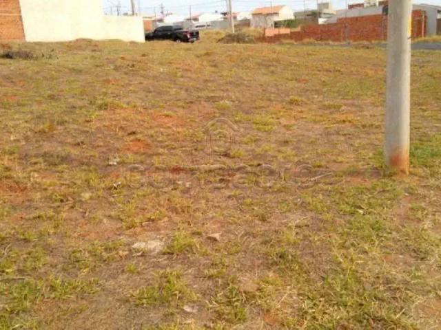 Terreno / Lote para Venda em São José do Rio Preto/SP Jardim dos Buritis