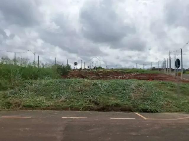 Terreno / Lote para Venda em São José do Rio Preto/SP Jardim Leste