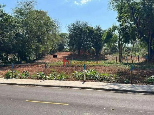 Terreno / Lote para Venda em São José do Rio Preto/SP Jardim Marajó