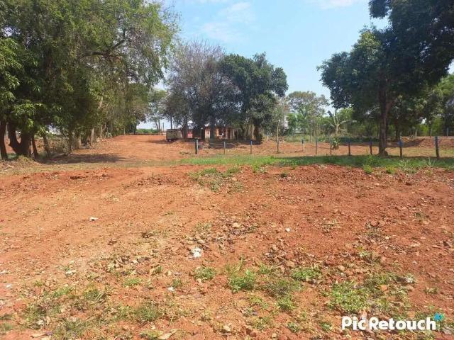 Terreno / Lote para Venda em São José do Rio Preto/SP Jardim Marajó