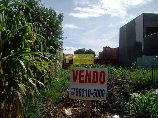 Terreno / Lote para Venda em São José do Rio Preto/SP Jardim Maria Lúcia