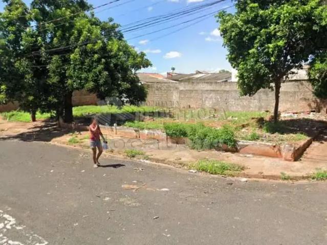 Terreno / Lote para Venda em São José do Rio Preto/SP Jardim Mugnaini