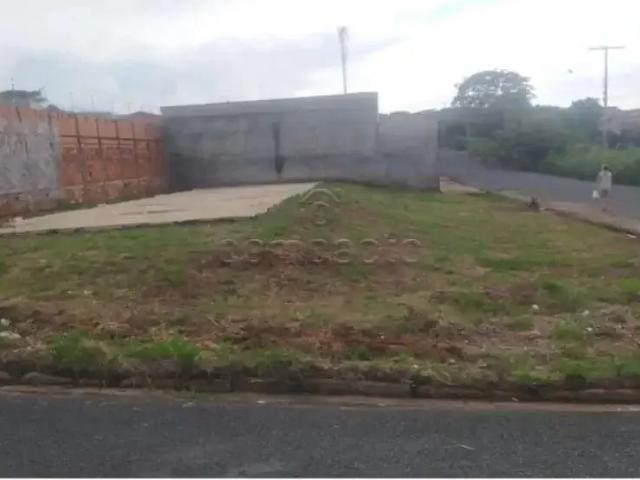 Terreno / Lote para Venda em São José do Rio Preto/SP Jardim Nazareth