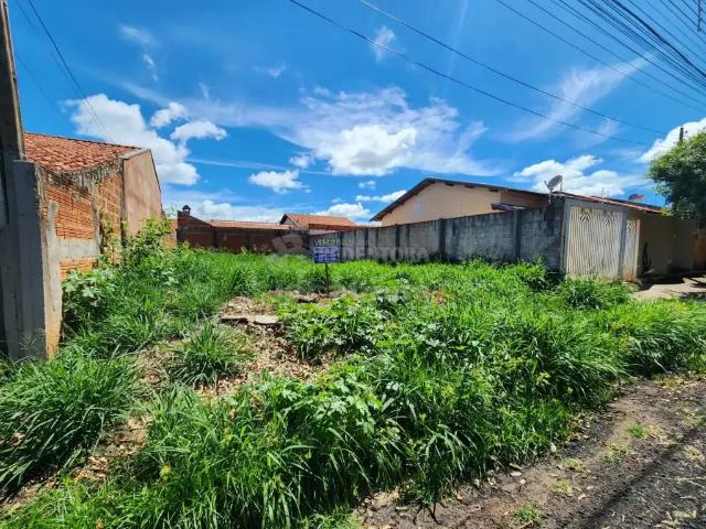 Terreno / Lote para Venda em São José do Rio Preto/SP Jardim Nunes
