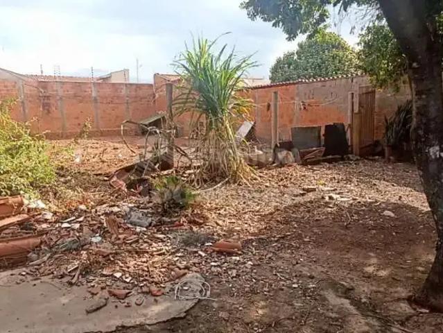 Terreno / Lote para Venda em São José do Rio Preto/SP Jardim Nunes