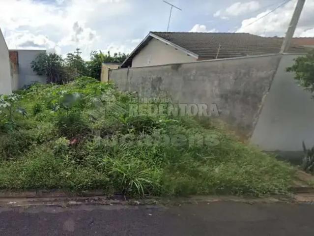 Terreno / Lote para Venda em São José do Rio Preto/SP Jardim Nunes