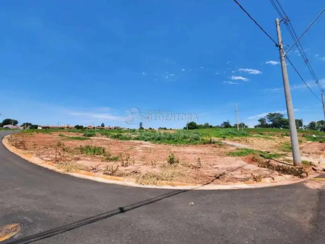Terreno / Lote para Venda em São José do Rio Preto/SP Jardim São Paulo