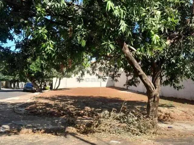Terreno / Lote para Venda em São José do Rio Preto/SP Jardim Santa Maria
