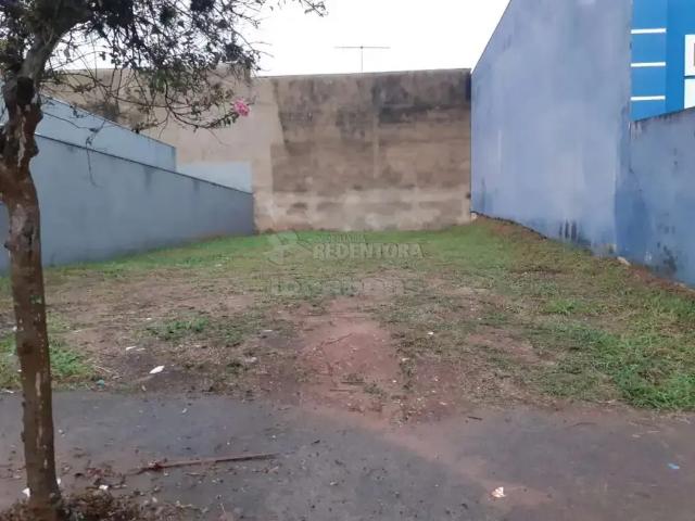 Terreno / Lote para Venda em São José do Rio Preto/SP Jardim Schmitt