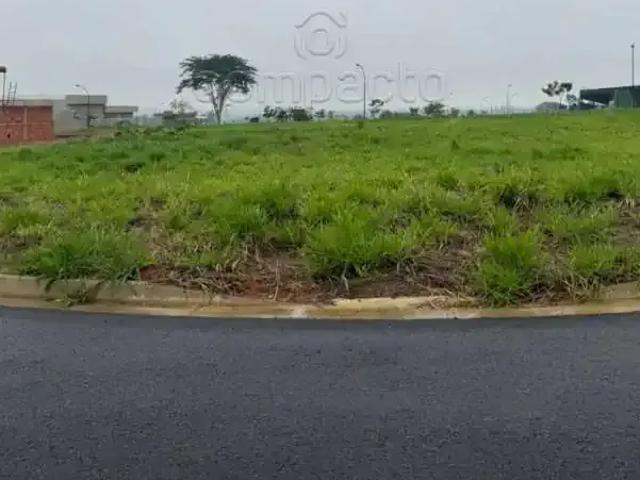 Terreno / Lote para Venda em São José do Rio Preto/SP Jardim Paulistano