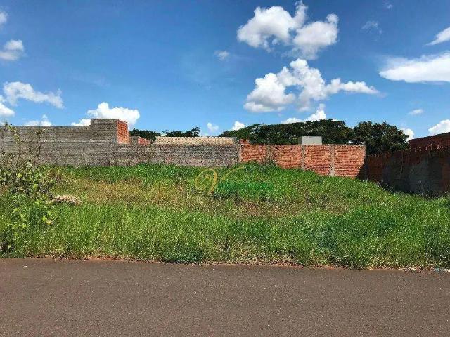 Terreno / Lote para Venda em São José do Rio Preto/SP Jardim Planalto