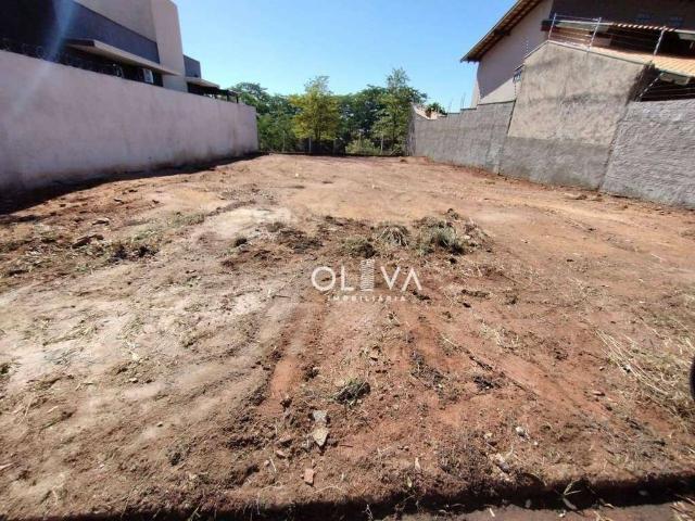 Terreno / Lote para Venda em São José do Rio Preto/SP Jardim Tarraf II
