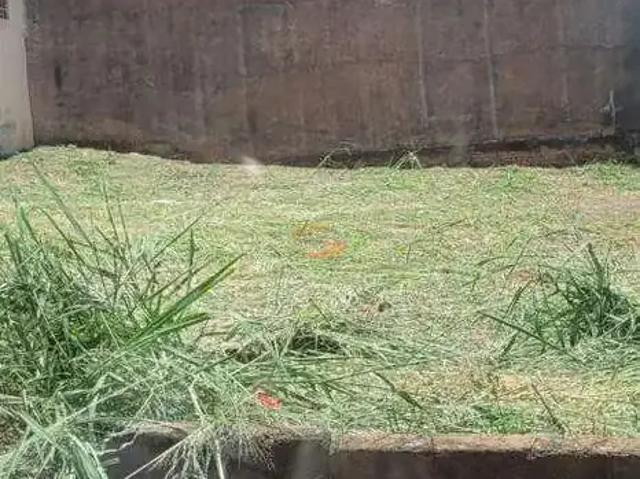Terreno / Lote para Venda em São José do Rio Preto/SP Jardim Viena
