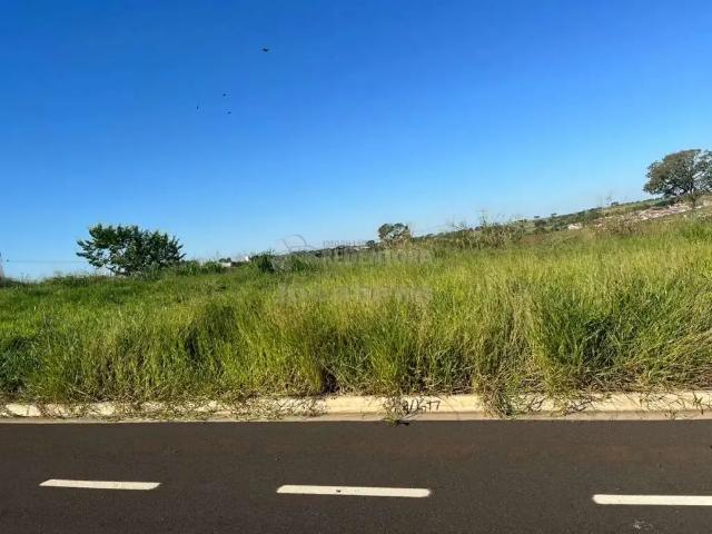 Terreno / Lote para Venda em São José do Rio Preto/SP Maisparque Rio Preto