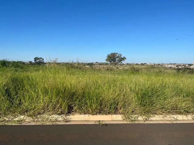 Terreno / Lote para Venda em São José do Rio Preto/SP Maisparque Rio Preto