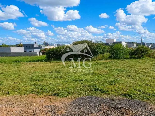 Terreno / Lote para Venda em São José do Rio Preto/SP Maisparque Rio Preto