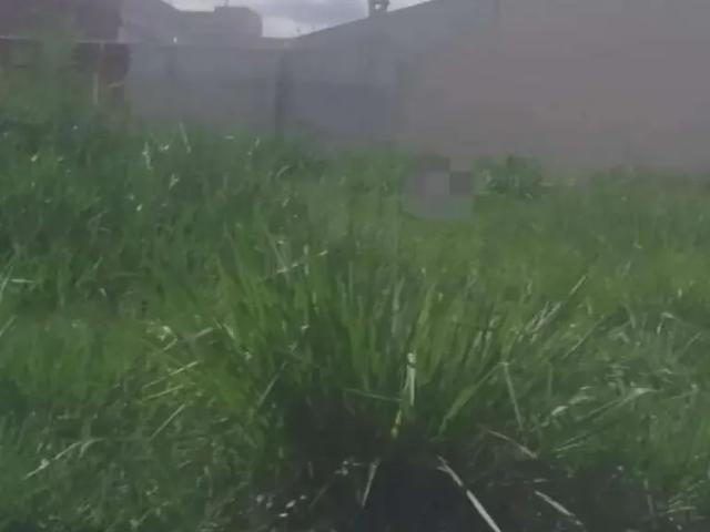 Terreno / Lote para Venda em São José do Rio Preto/SP Parque das Amoras II 1 Quartos