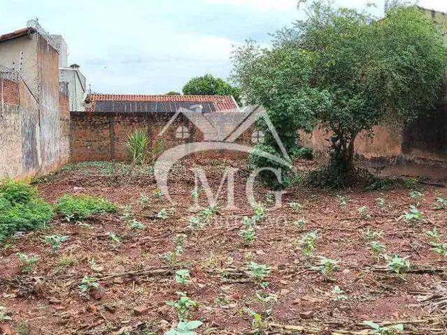 Terreno / Lote para Venda em São José do Rio Preto/SP Parque Jaguaré