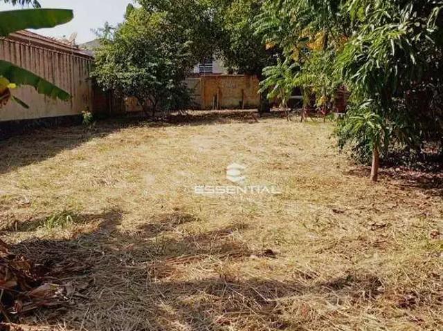 Terreno / Lote para Venda em São José do Rio Preto/SP Parque Residencial Comendador Mançor Daud