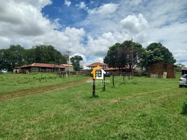 Terreno / Lote para Venda em São José do Rio Preto/SP Parque Residencial Dom Lafaiete Libânio