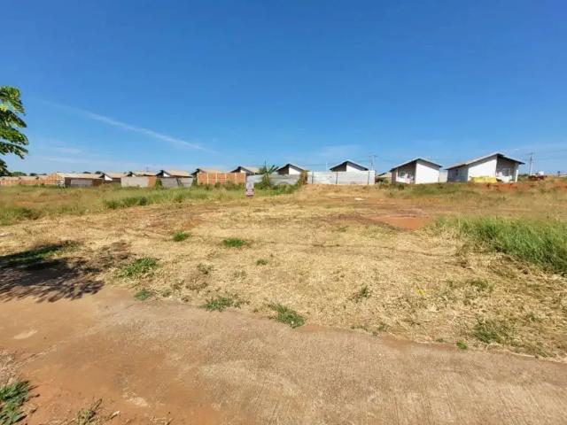 Terreno / Lote para Venda em São José do Rio Preto/SP Parque Residencial Edson Baffi