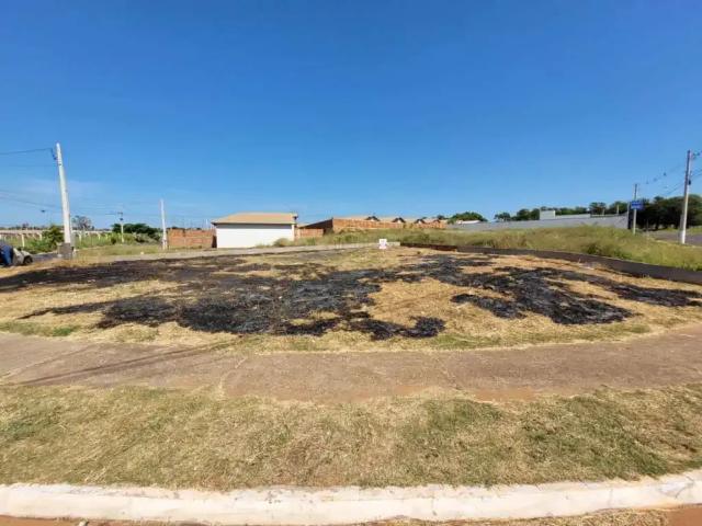 Terreno / Lote para Venda em São José do Rio Preto/SP Parque Residencial Edson Baffi