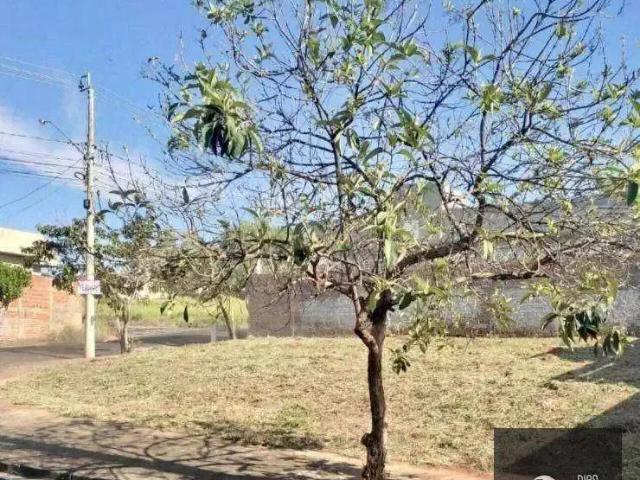 Terreno / Lote para Venda em São José do Rio Preto/SP Parque Residencial J. Macedo