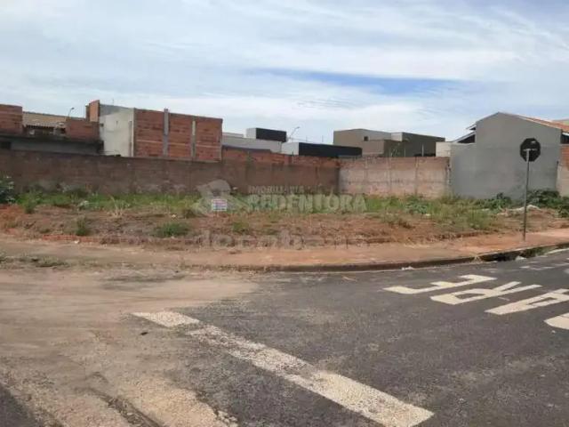 Terreno / Lote para Venda em São José do Rio Preto/SP Parque Vila Nobre