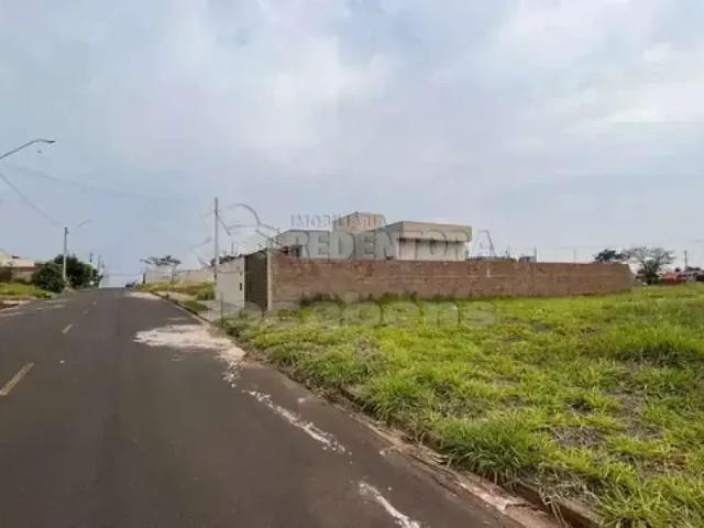 Terreno / Lote para Venda em São José do Rio Preto/SP Parque Vila Nobre