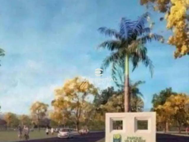 Terreno / Lote para Venda em São José do Rio Preto/SP Parque Vila Nobre