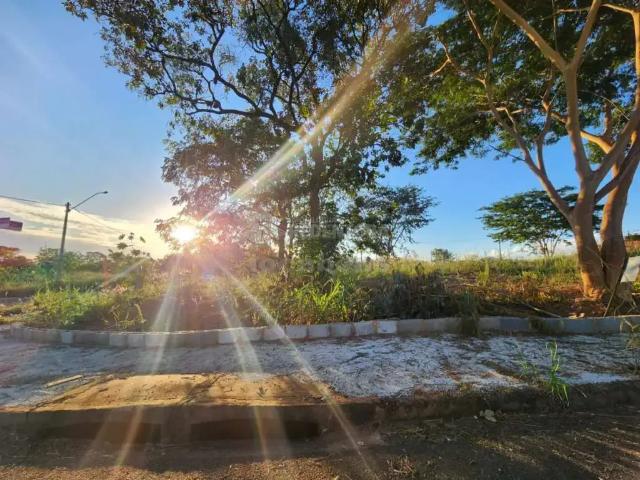 Terreno / Lote para Venda em São José do Rio Preto/SP Parque Vila Nobre