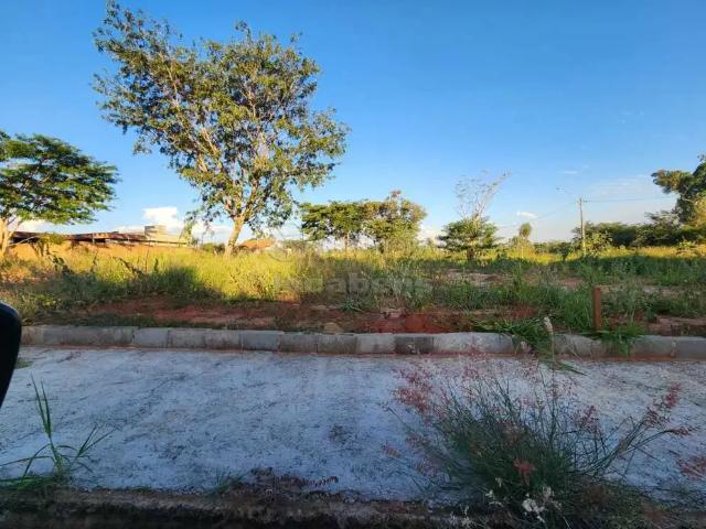 Terreno / Lote para Venda em São José do Rio Preto/SP Parque Vila Nobre
