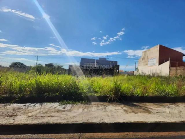 Terreno / Lote para Venda em São José do Rio Preto/SP Parque Vila Nobre