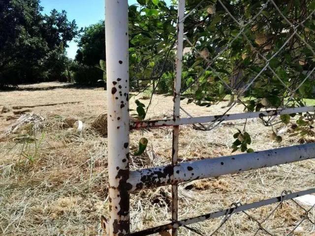 Terreno / Lote para Venda em São José do Rio Preto/SP Residencial Vista Alegre II e III Zona Rural