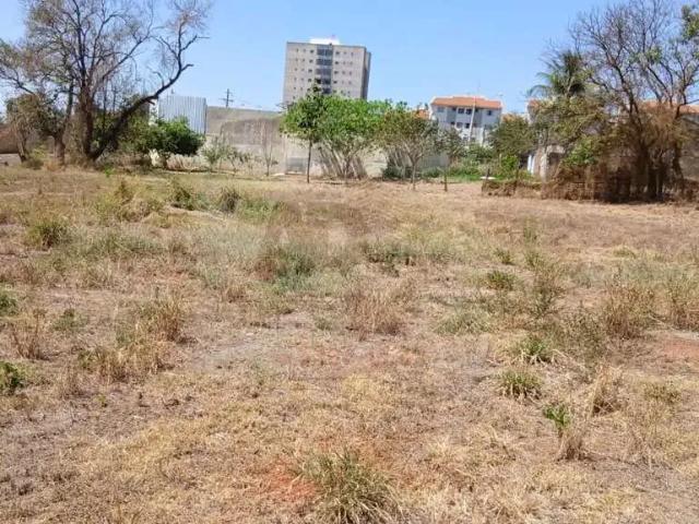 Terreno / Lote para Venda em São José do Rio Preto/SP Residencial Ana Célia