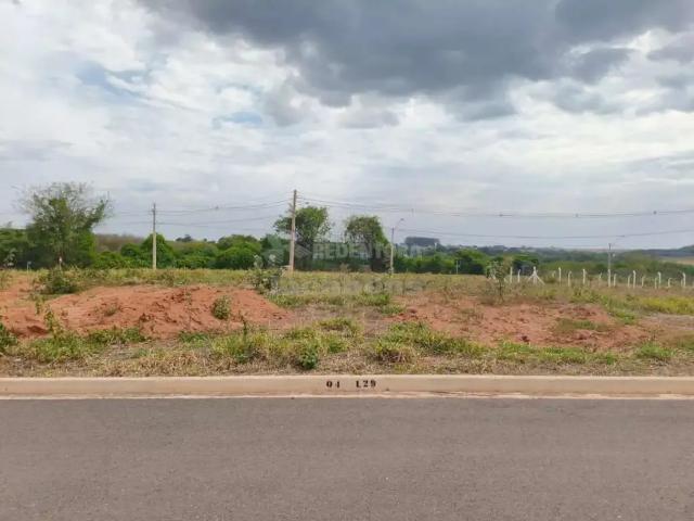 Terreno / Lote para Venda em São José do Rio Preto/SP Residencial Ary Attab
