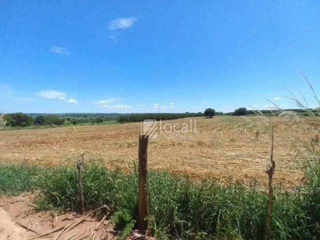 Terreno / Lote para Venda em São José do Rio Preto/SP Residencial Caetano