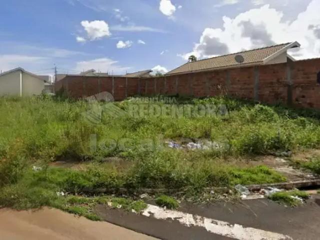 Terreno / Lote para Venda em São José do Rio Preto/SP Residencial Cidade Alta