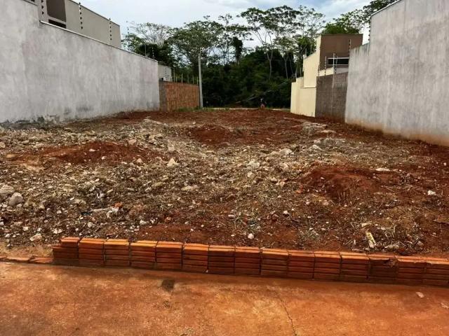 Terreno / Lote para Venda em São José do Rio Preto/SP Residencial Doutor João Tajara