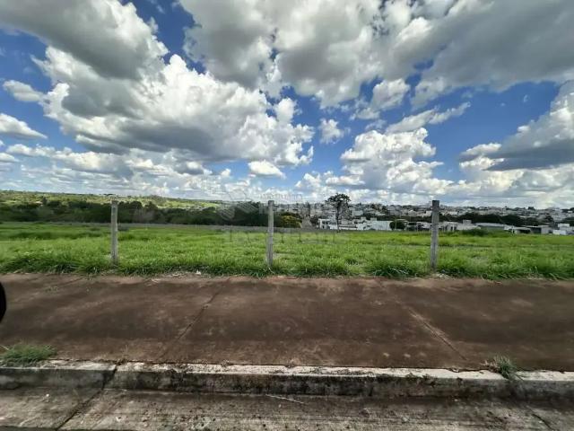 Terreno / Lote para Venda em São José do Rio Preto/SP Residencial e Empresarial Ascolo Martin