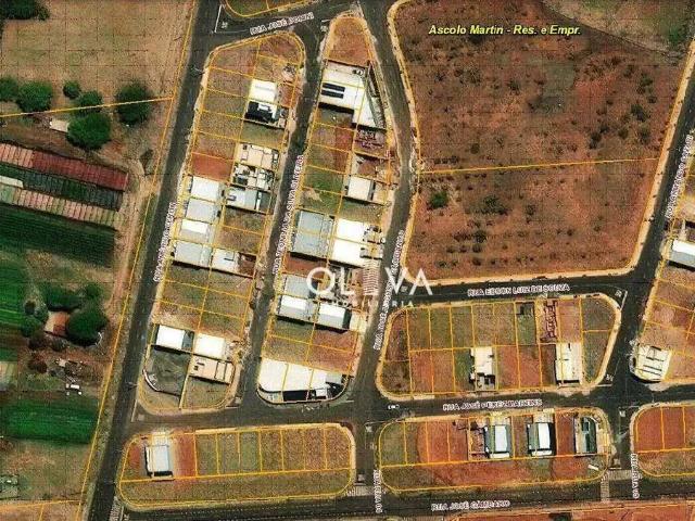 Terreno / Lote para Venda em São José do Rio Preto/SP Residencial e Empresarial Ascolo Martin