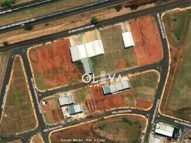 Terreno / Lote para Venda em São José do Rio Preto/SP Residencial e Empresarial Ascolo Martin